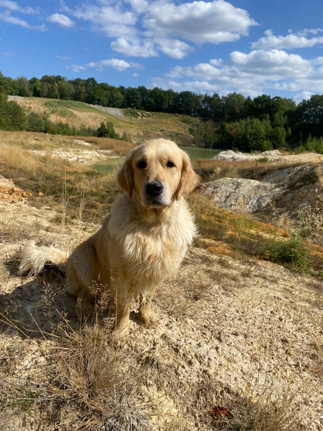 Galerie Hailey – Of Goodwin Sands