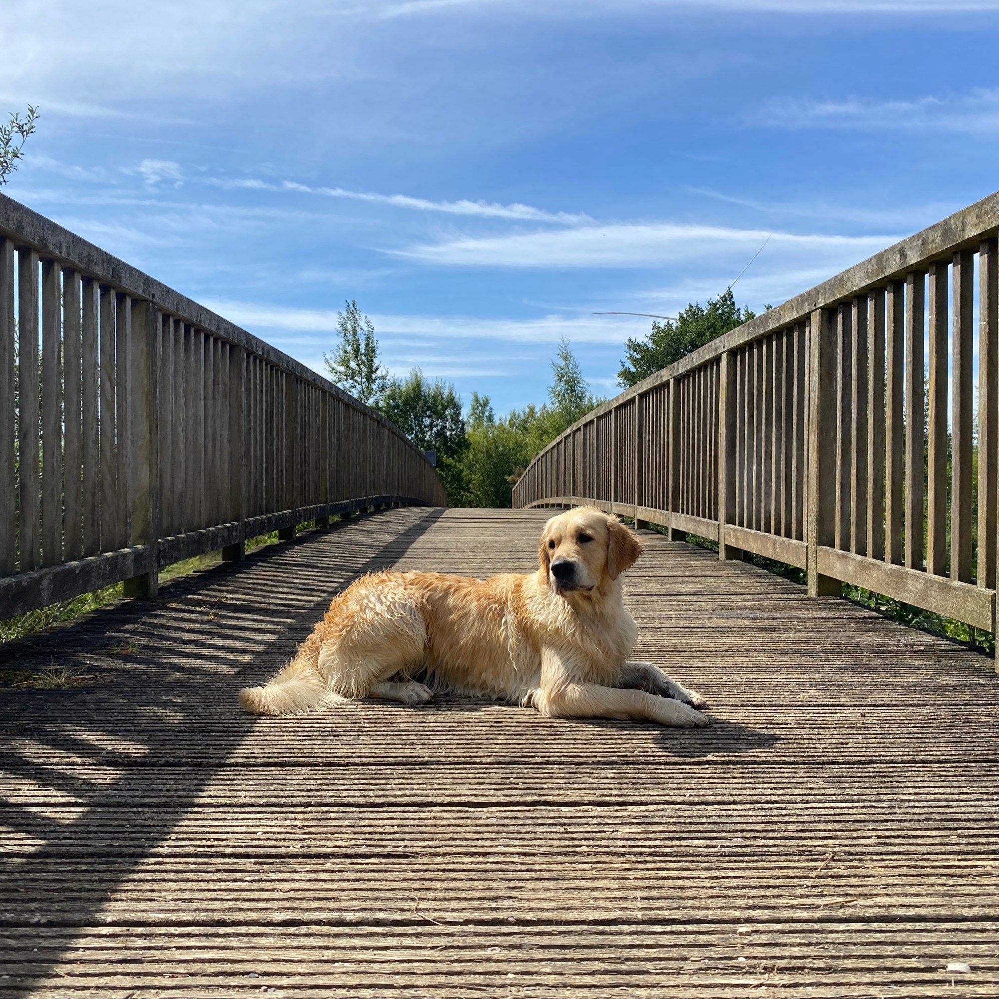 Galerie Hailey – Of Goodwin Sands