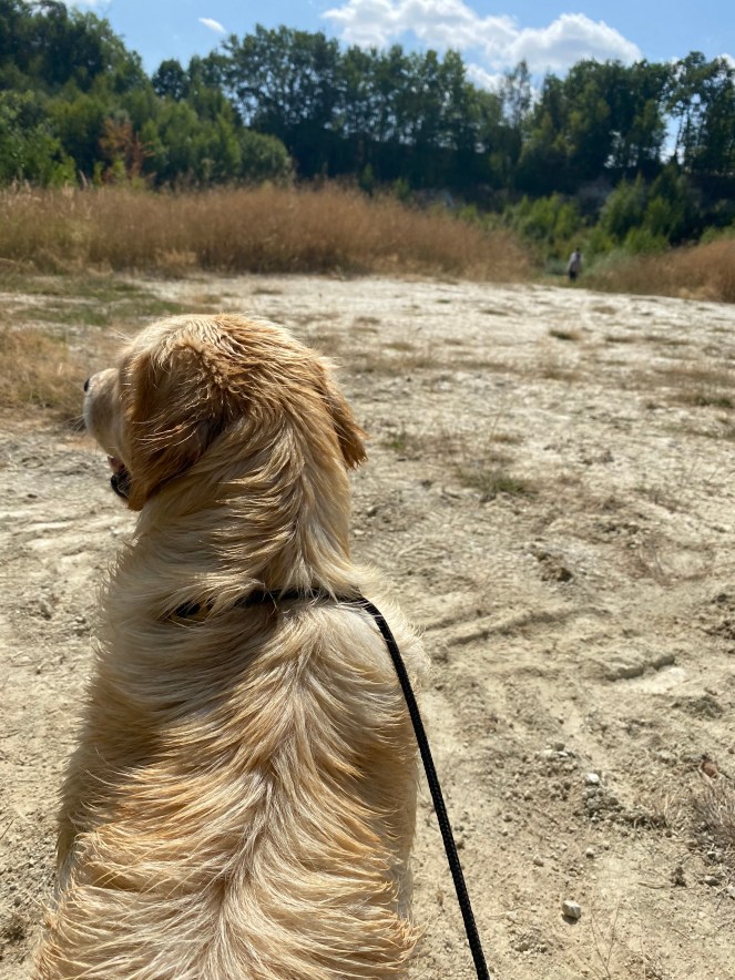 Galerie Hailey – Of Goodwin Sands